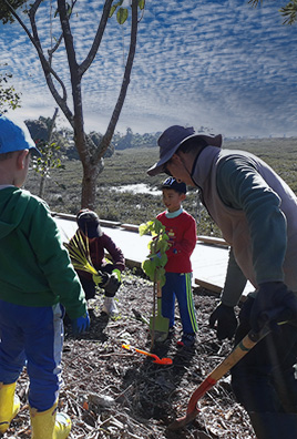 Tree planting – Te Whau Pathway Project