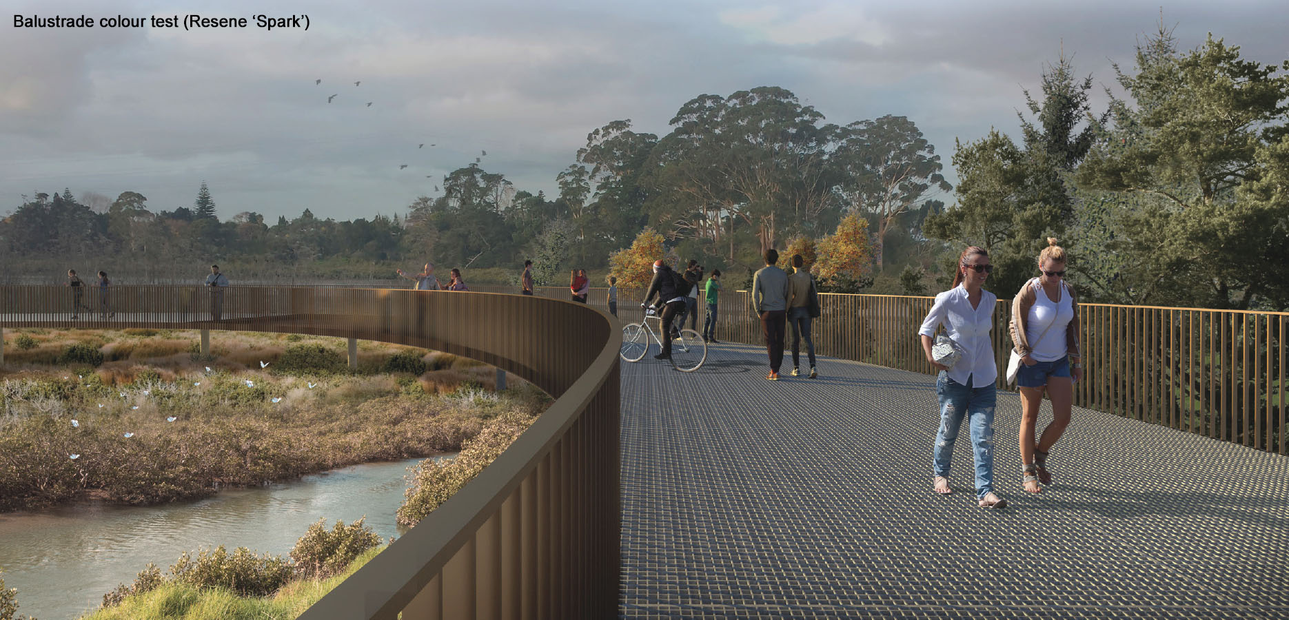 Pathway design – Te Whau Pathway Project
