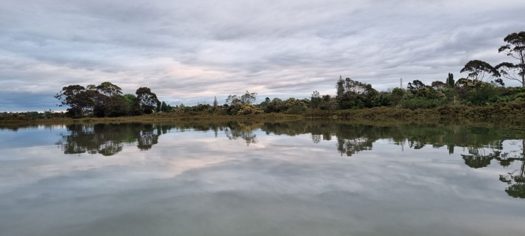 Flow to the Whau 2022 – Te Whau Pathway Project