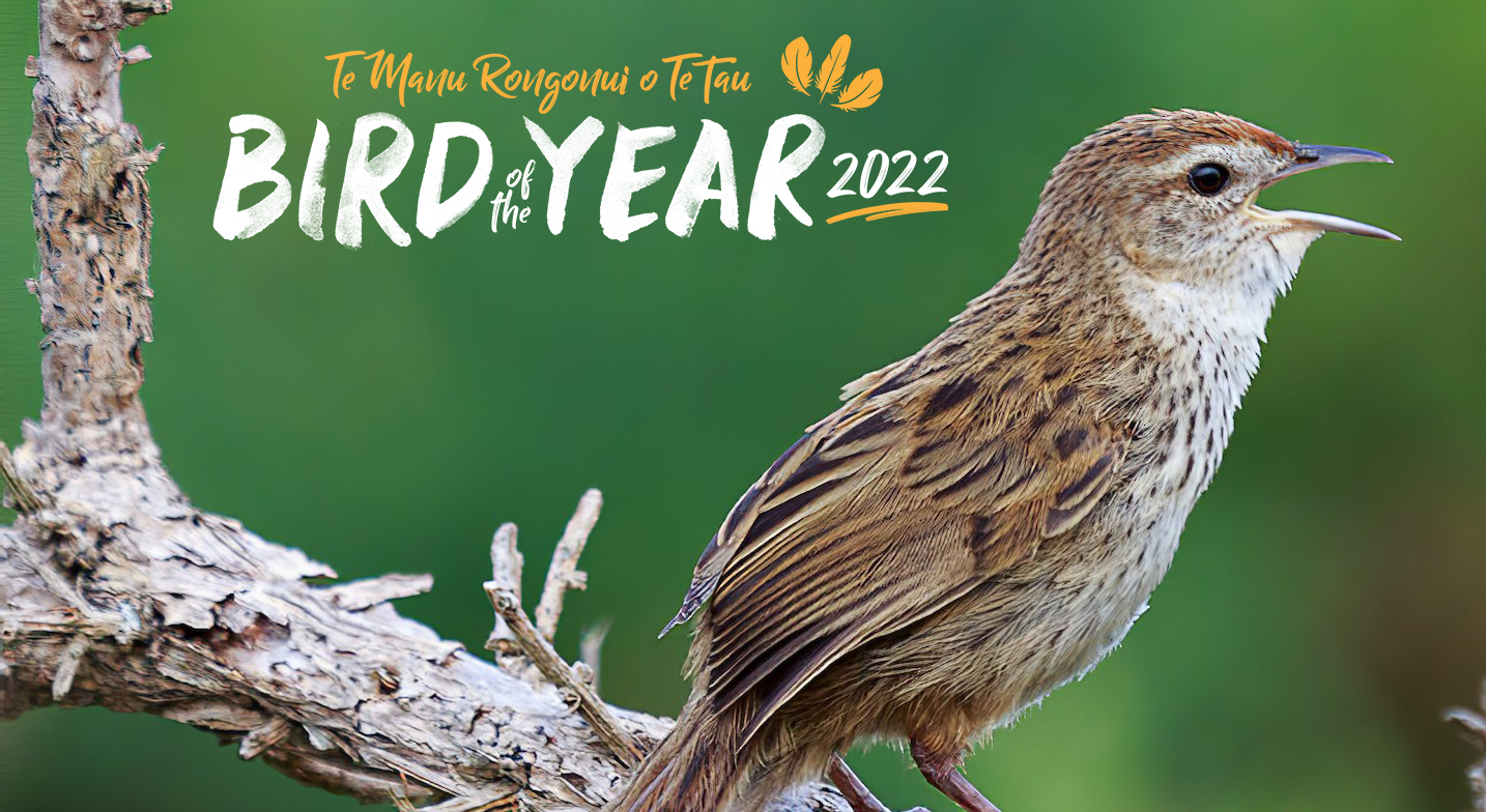 Te Whau Pathway for the Mātātā (Fernbird) – Te Whau Pathway Project
