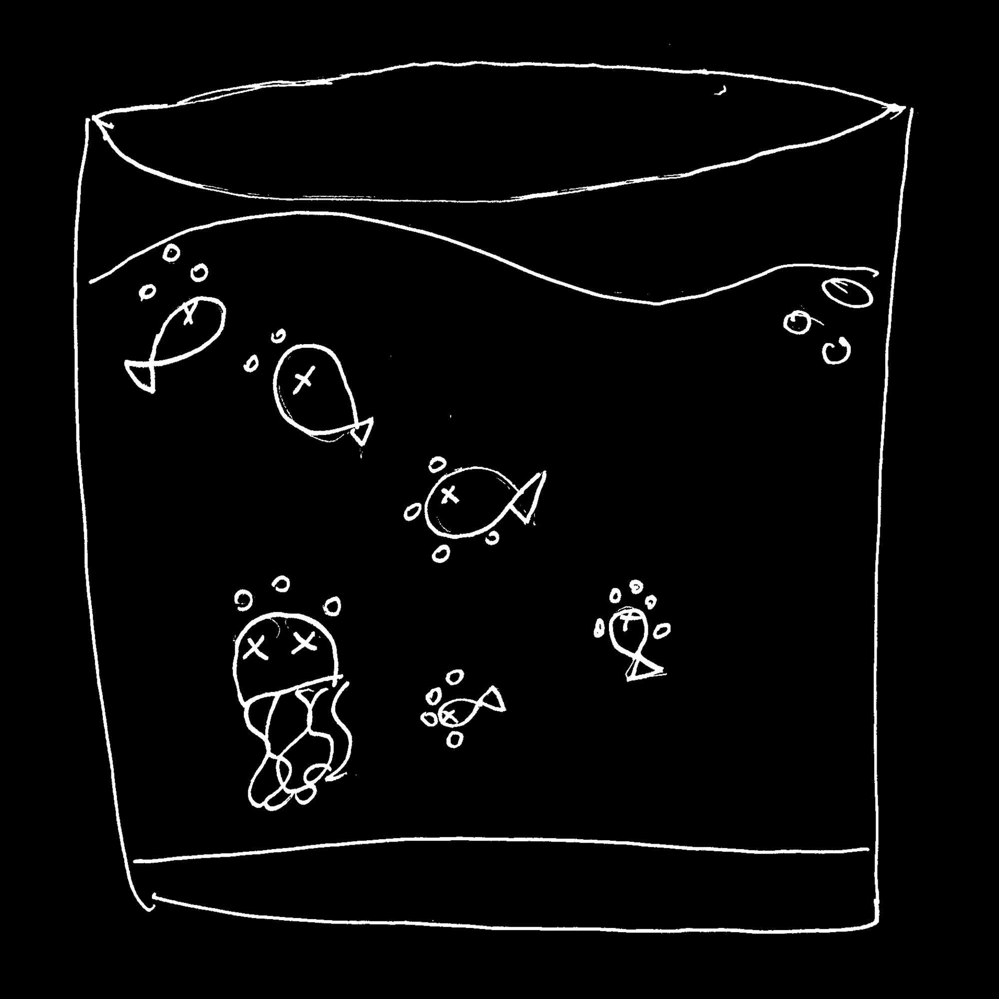 Ruby-B – Te Whau Pathway Project