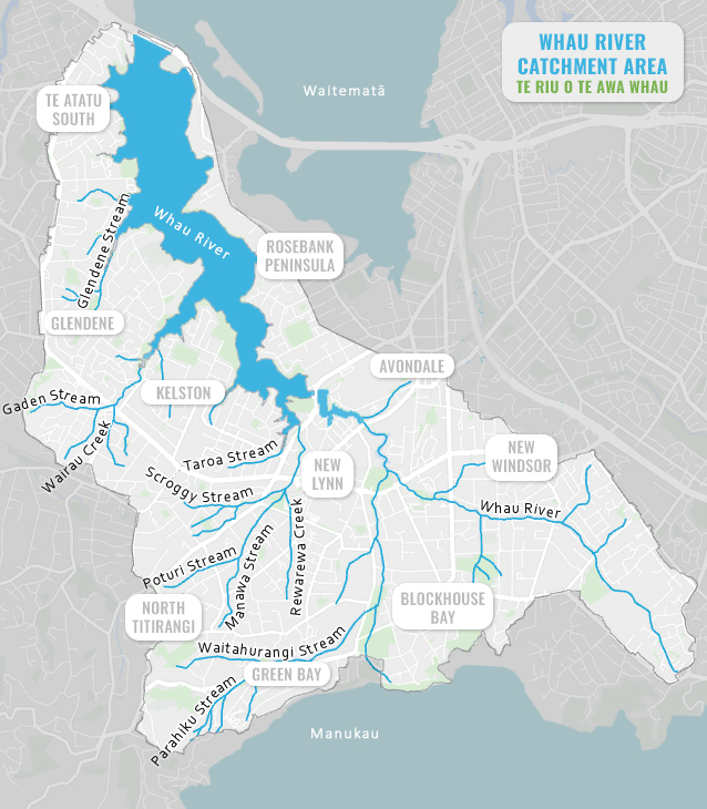 Flow to the Whau 2023 – Te Whau Pathway Project