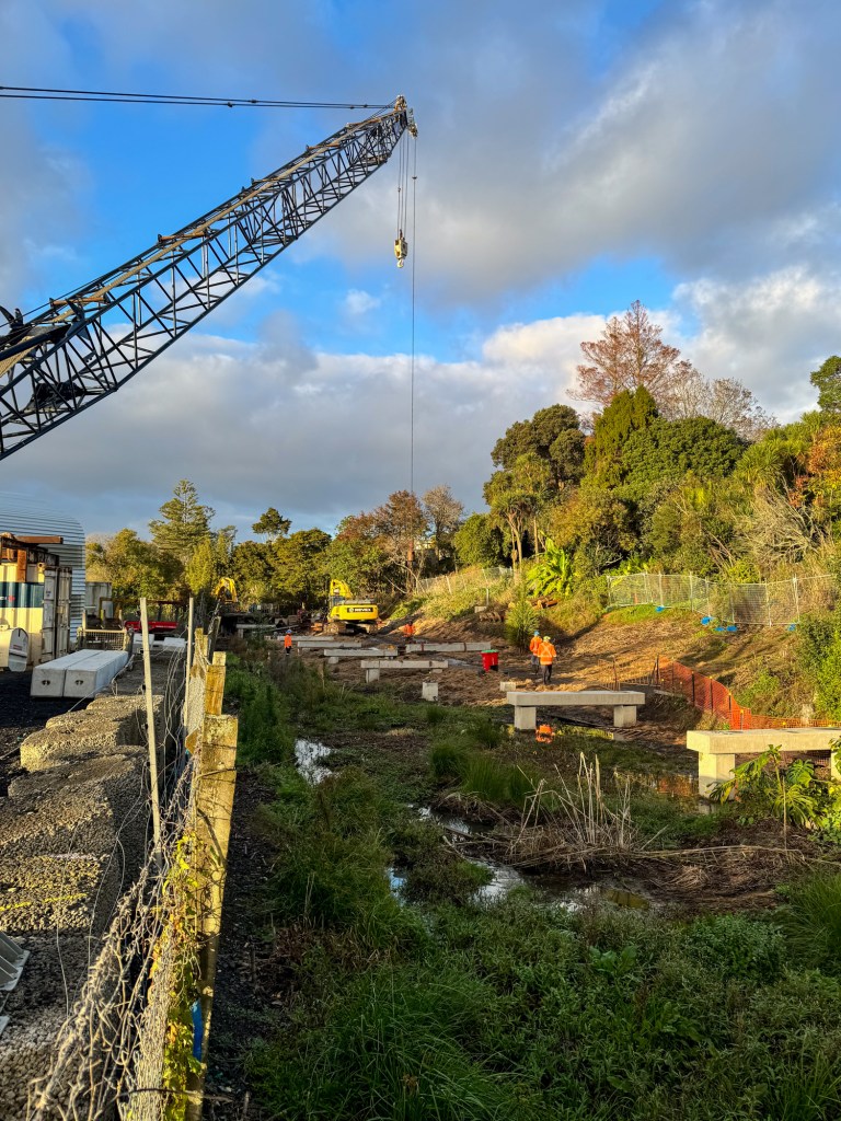 Meet Te Kōwhai Nui – Te Whau Pathway Project
