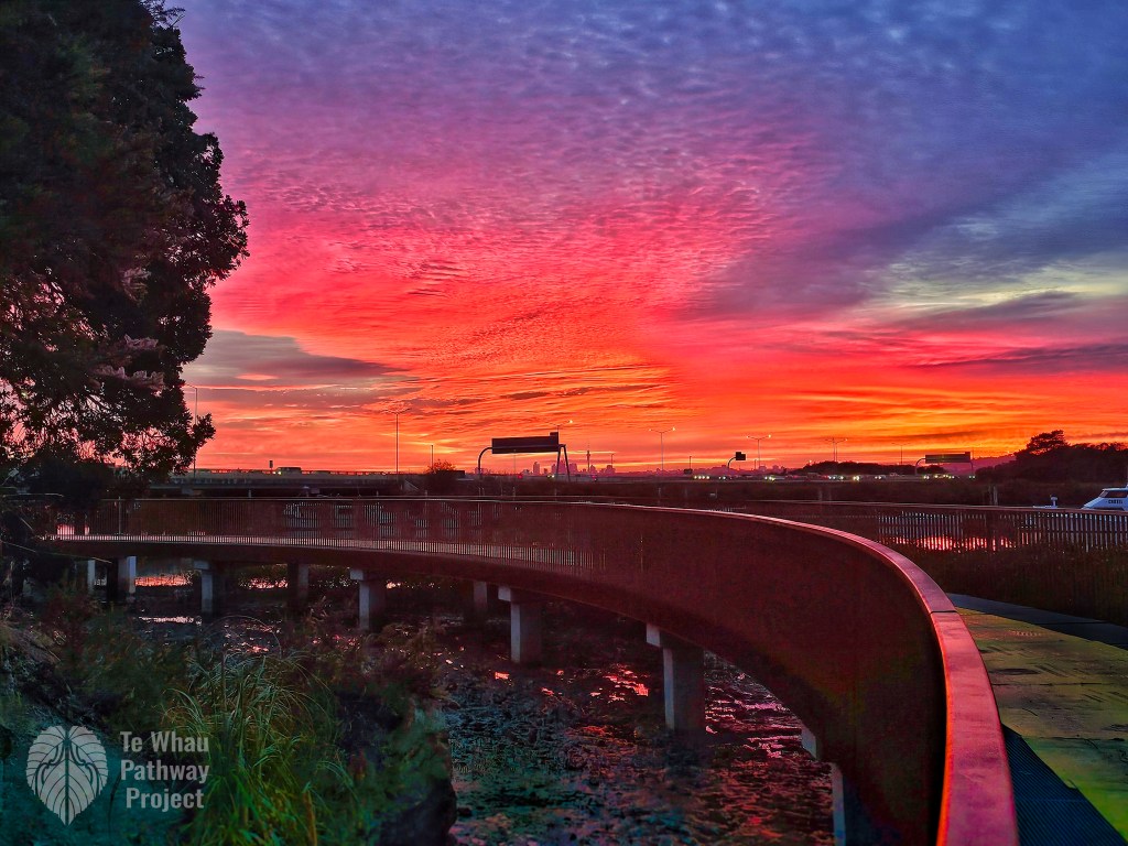 Epic Screensavers – Te Whau Pathway Project