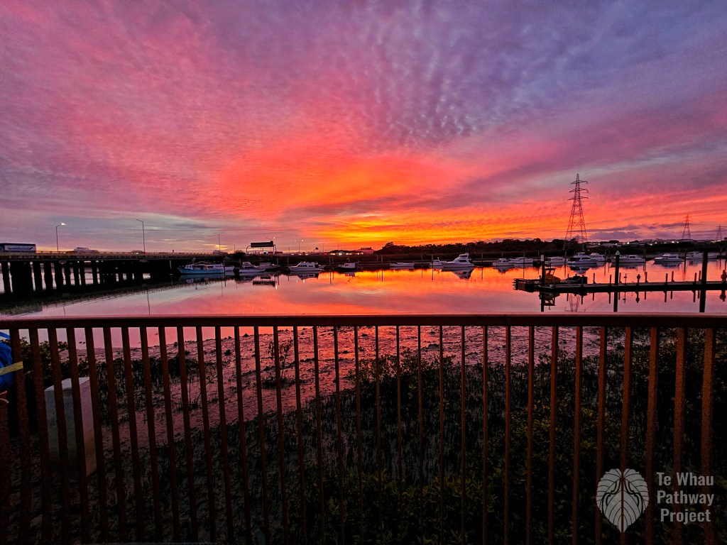 Epic Screensavers – Te Whau Pathway Project